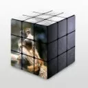 Sonderzeichen im Formular 'Ausgabe erstellen aus Vorlage ...